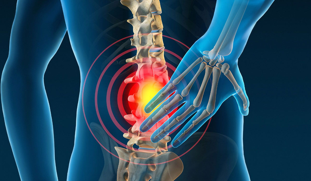 Common Myths and Facts about Back Pain - Medical India Tourism