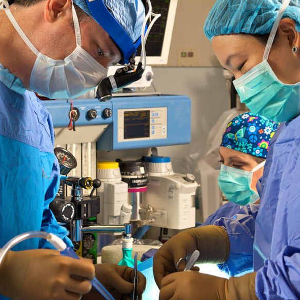 Cancer Treatment in India | Cancer Hospitals | Cost | Surgeons